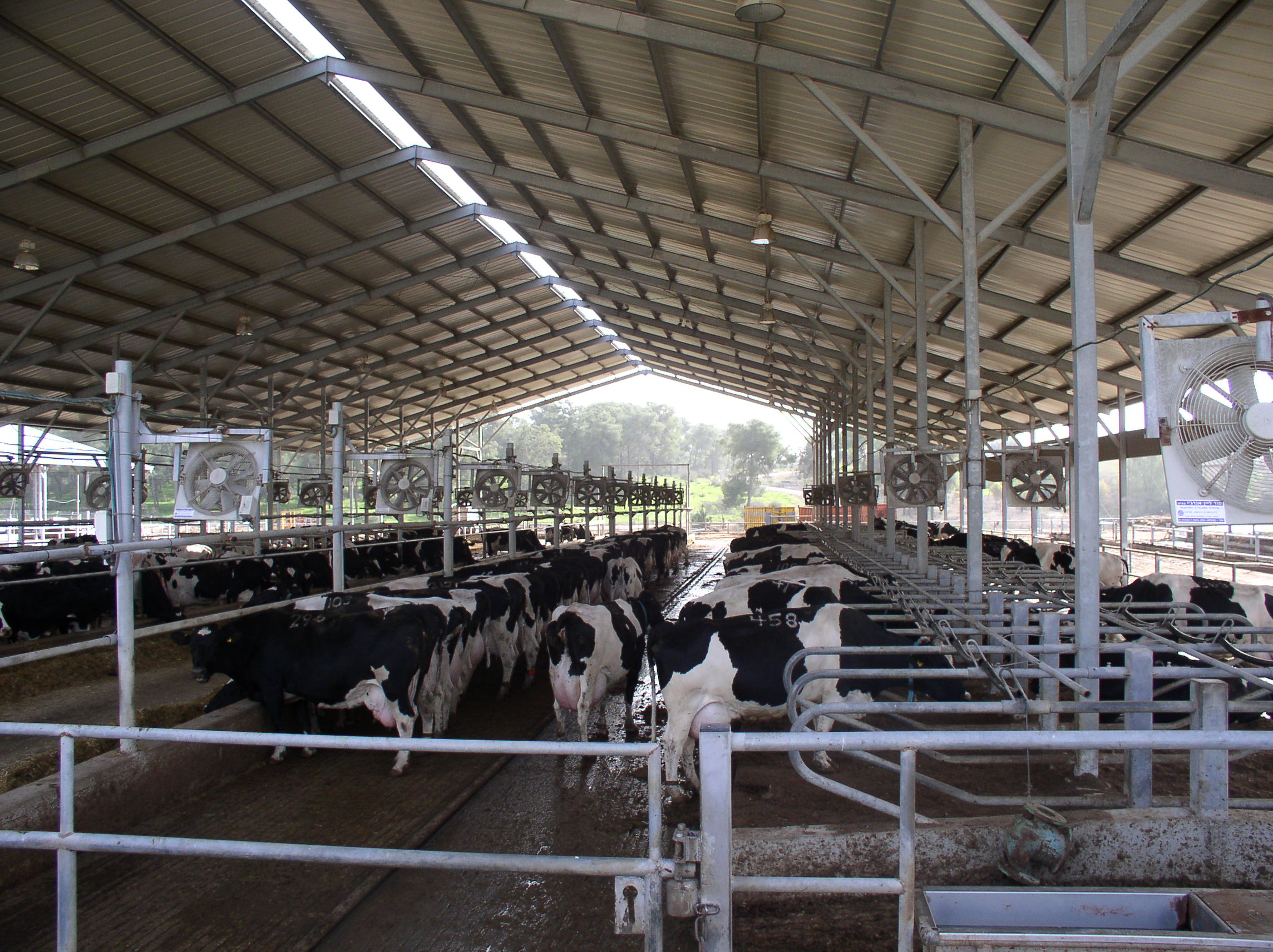 Dairy Industry Summary for 2018: Which is the farm with the highest ...